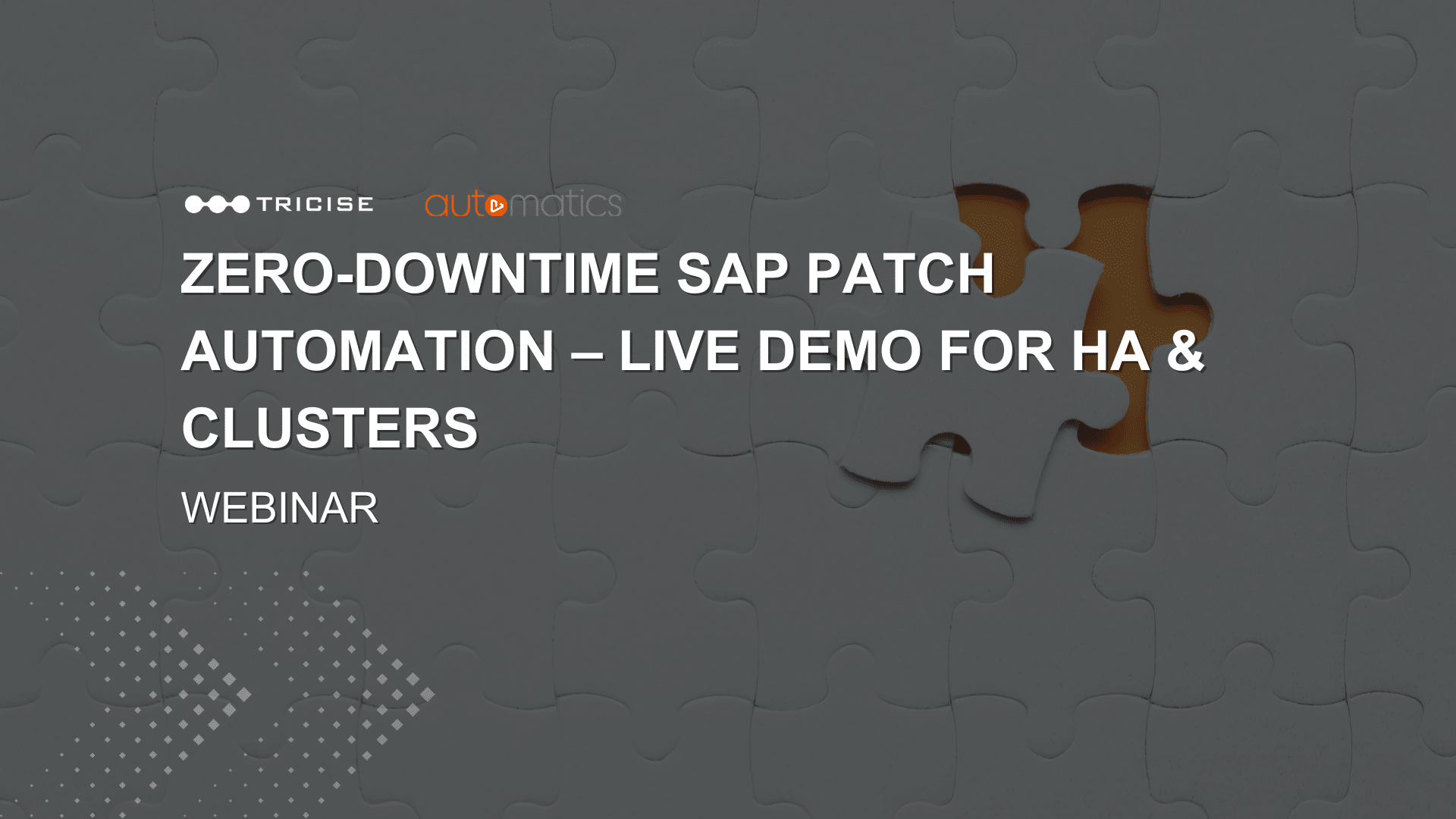 Zero-Downtime SAP Patch Automation – Live Demo for HA & Clusters - Tricise